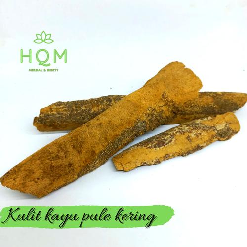 Jual 1kg Kulit kayu pule kering obat herbal alami kult lame kering ...