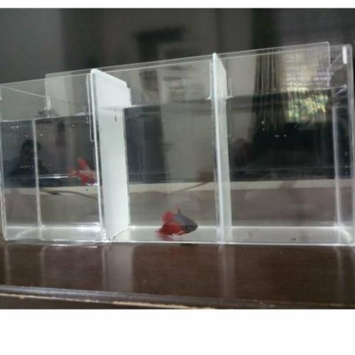 Jual Soliter Akrilik Cupang 3 kamar 30x10x15 bersekat double - Kab ...