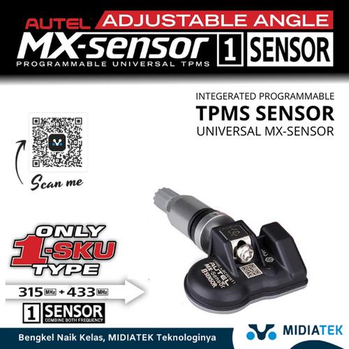 Jual Sensor TPMS Programmable Universal AUTEL MX-Sensor 315+433mhz ...