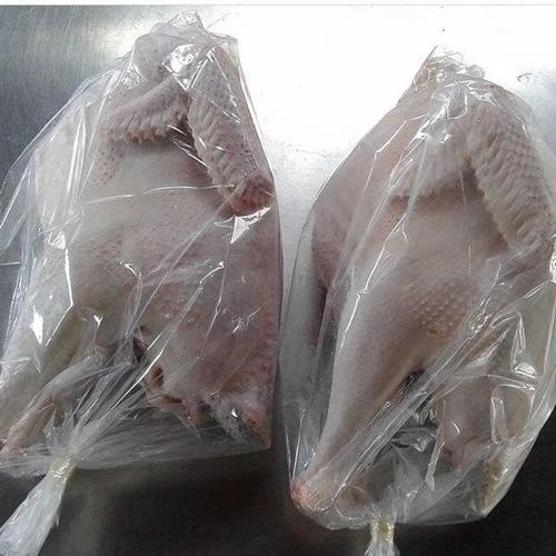 Jual Daging Kalkun Fresh 1 Ekor Kalkun Fresh - Daging Kalkun 1 Ekor ...