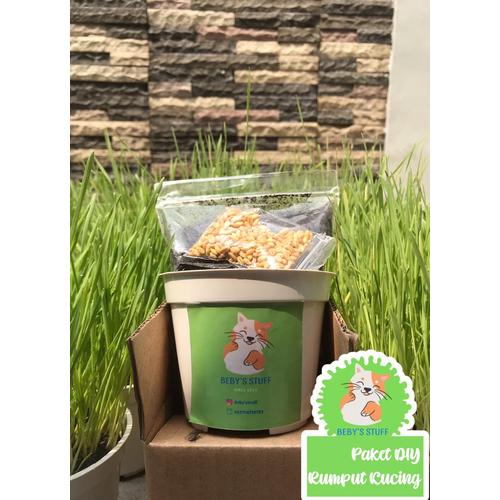 Jual PAKET DIY RUMPUT KUCING LENGKAP POT / MEDIA / BENIH 20 GR - Hitam ...