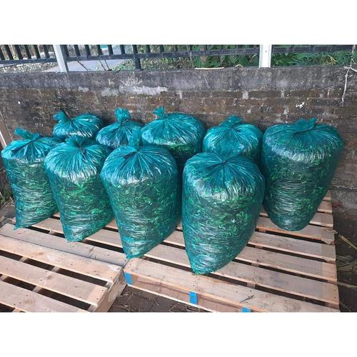 Jual Plastik Silase pakan fermentasi ternak kambing domba sapi - tebal ...