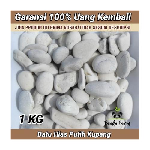 Jual Batu Alam Koral Tabur Kerikil Hias Putih Kupang - 1 KG - Kab ...