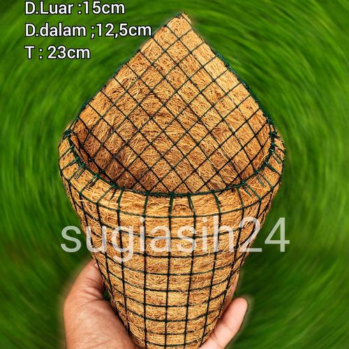 Jual POT SERABUT KELAPA BUNGA ANGGREK TEMPEL DINDING - Kab. Kebumen ...