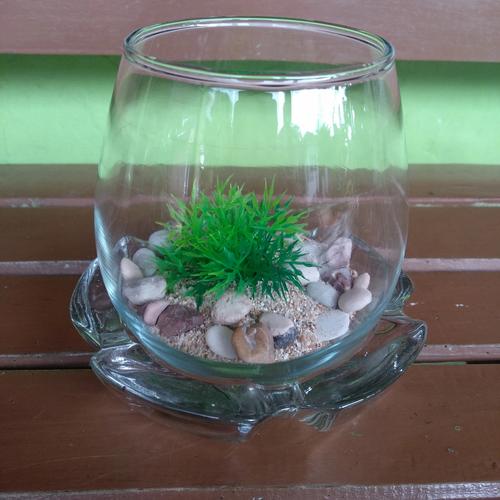 Jual Paket Aquarium Mini dan Tatakan Kaca Paket Aquarium Bulat 475ml ...