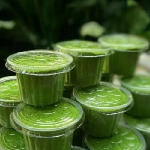 Jual BELI 10 FREE 5 Serbuk rumput tabur | Rumput Sintetis | Diorama ...