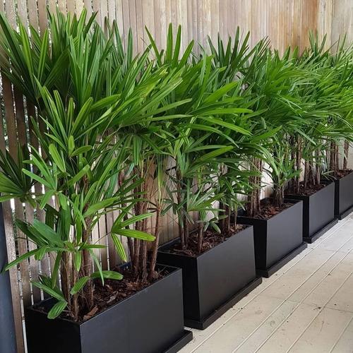 Jual pot panjang minimalis hitam - Kab. Bogor - 3s Terazzo center ...