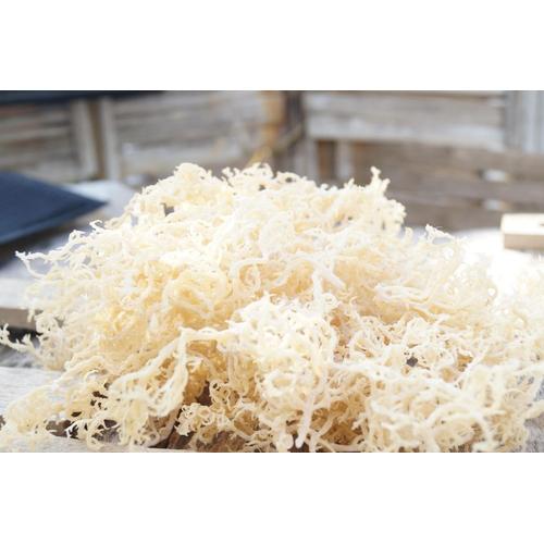 Jual RUMPUT LAUT/PACK - Kota Surakarta - Belanjasayursolo | Tokopedia