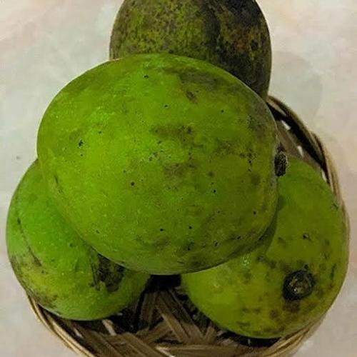 Jual Buah mangga kuweni-kweni segar per 500gram - Kab. Pangandaran ...