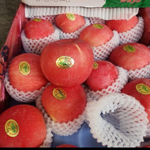 Jual Buah apel fuji rosy blush fremium fresh Apple /9kg /dus inport ...