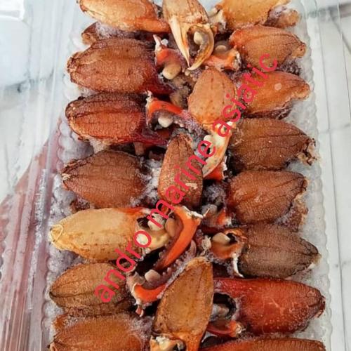 Jual daging capit kepiting frozen - Jakarta Barat - andro Marine ...