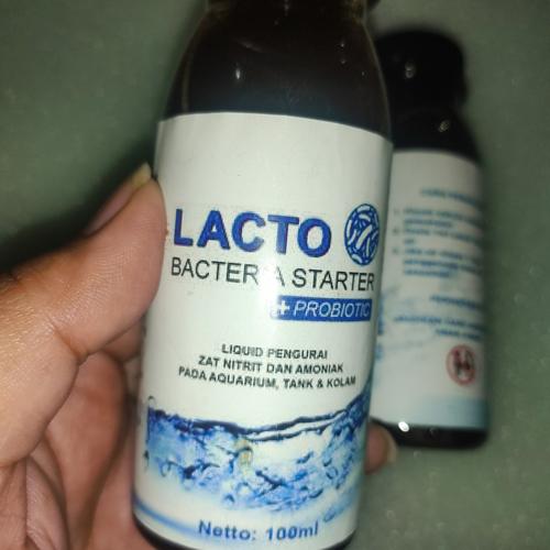 Jual lacto bakteri starter probiotik 100ml - Jakarta Timur - Cbbr ...