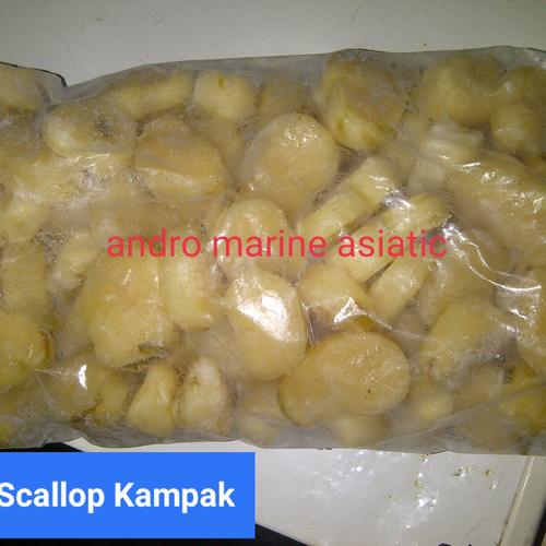 Jual daging kerang kampak (scallop) - Jakarta Barat - andro marine ...