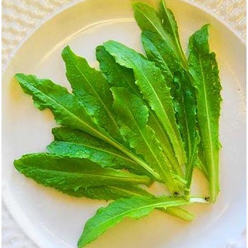 Jual Sayur Fumak Segar 1 KG - Jakarta Utara - SayurWoori | Tokopedia