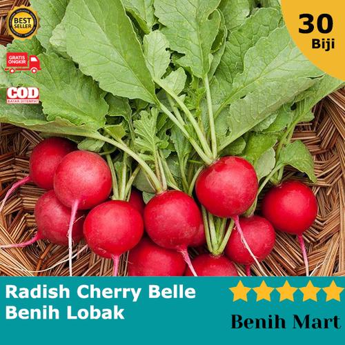 Promo Bibit Benih Biji Lobak Merah Radish Cherry Belle Import - Jakarta ...