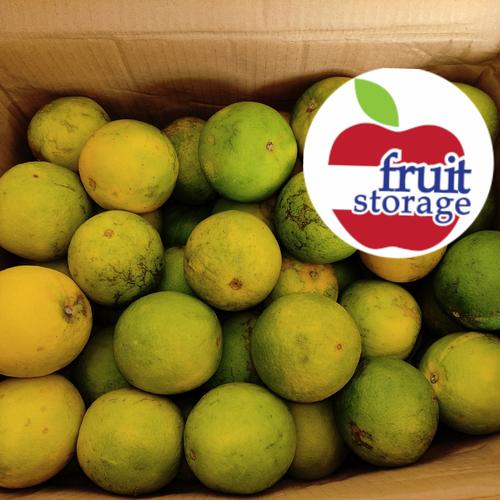 Jual Buah Jeruk Baby Jaffa Malang 1kg manis Java - 1kg - Jakarta Utara ...