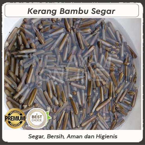 Jual KERANG BAMBU 1Kg/Kerang bambu segar / Kerang bambu fresh - Jakarta ...