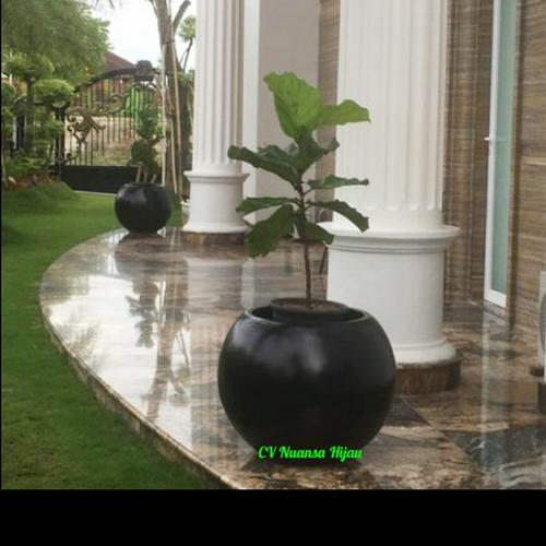 Jual Pot Taman Modern Minimalis Cantik Tipe Bola D70cm - Kota Depok ...