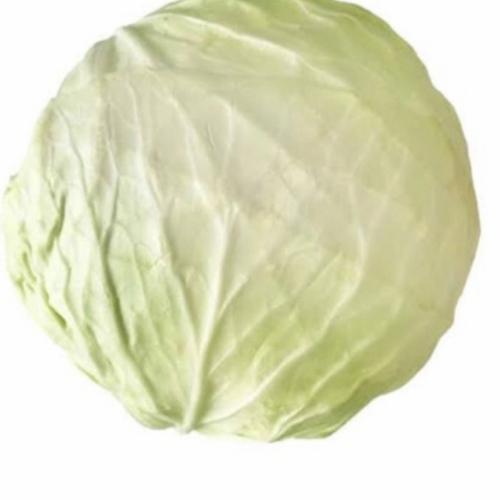 Jual kol putih 1000 gram - Jakarta Barat - Pasar Jaya Mandiri | Tokopedia