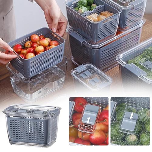 Jual Kotak Konteiner Container Tempat Simpan Sayur Buah Tirisan Air ...