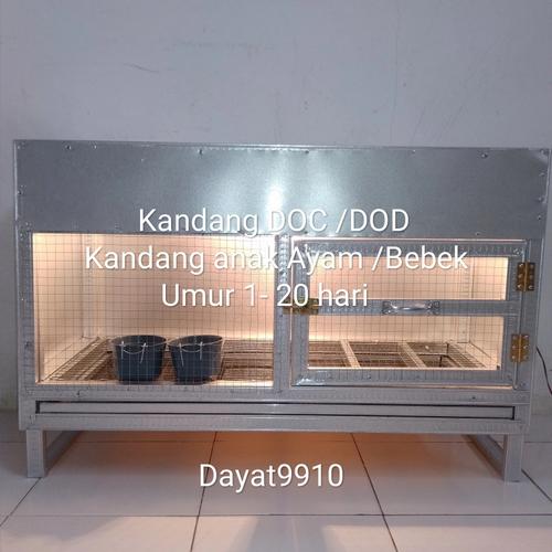 Jual Kandang DOC/DOD,dayat9910, umur 1-20 hari - 90x38x60 - Jakarta ...