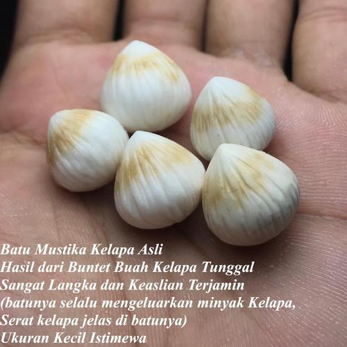 Jual Batu Kentos Kelapa Asli dari Buah Kelapa Harga Untuk 5PCS ukuran ...