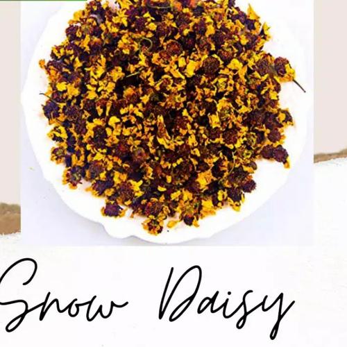 Jual Snow Daisy Flower Tea 10gram/ Teh Bunga Snow Daisy / SNOW CHRYSAN ...