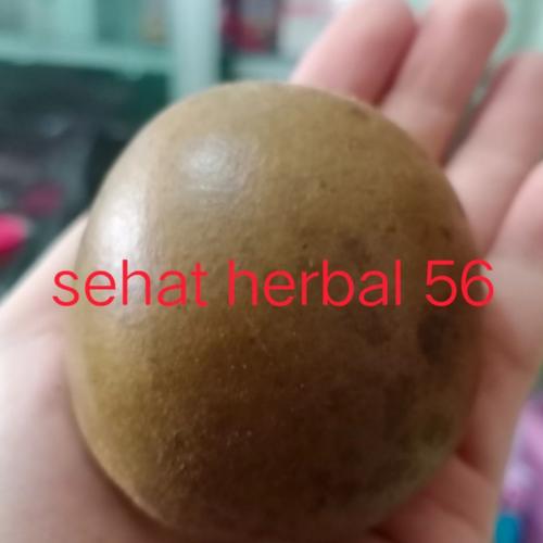 Jual buah luo Han Kuo / Lo Han ko -untuk radang tenggorokan - Kota ...