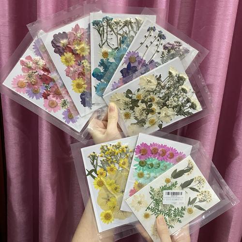 Jual bunga kering set / dried pressed flower resin epoxy - Putih - Kab ...