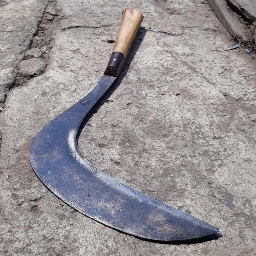 Jual ARIT RUMPUT 53cm Fulltang Matrial Baja per Pisau Sabit Arit ...