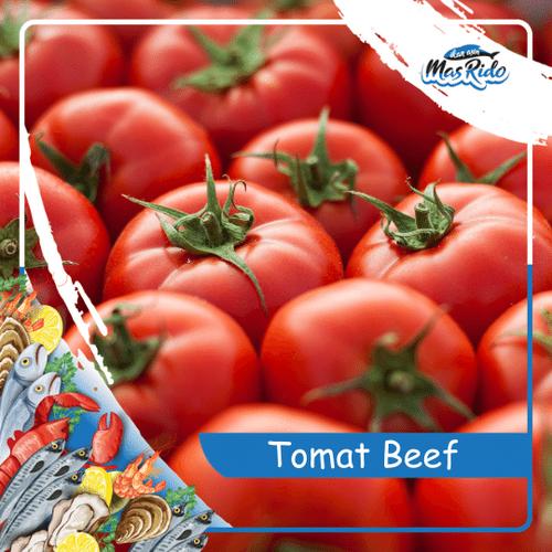 Jual Tomat Beef Organik Buah Sayur Tomato Recento Segar fresh Kwalits ...