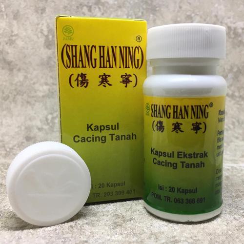 Jual obat tifus obat tipes kapsul cacing tanah Shang han ning isi 20 ...