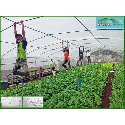 Jual GROW BOOM GREEN HOUSE UV PO ( 6 M LEBAR ) ( 4 - 30 M PANJANG ...