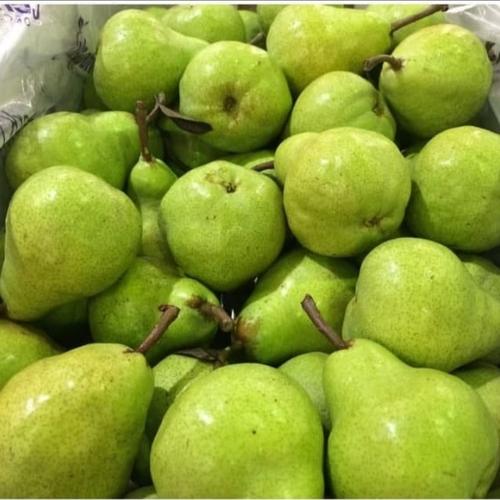 Jual Buah Pear Packham Import/pir hijau 1 Dus - Jakarta Barat - alifa ...