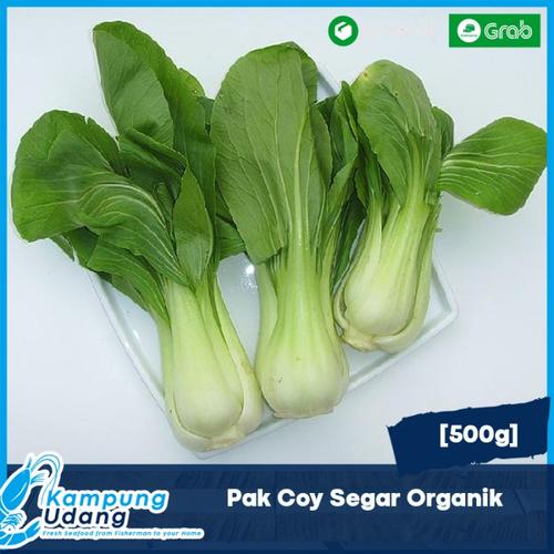 Jual Pak Coy / Pakcoy Segar Organik [250 gram] - Jakarta Utara ...