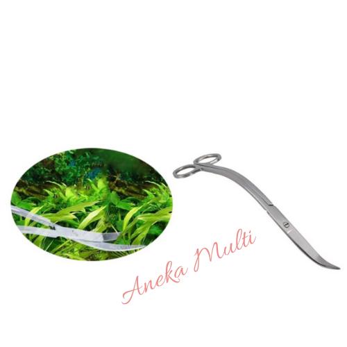 Jual GUNTING TRIMMING AQUASCAPE akuarium STAINLESS UJUNG ombak wave ...