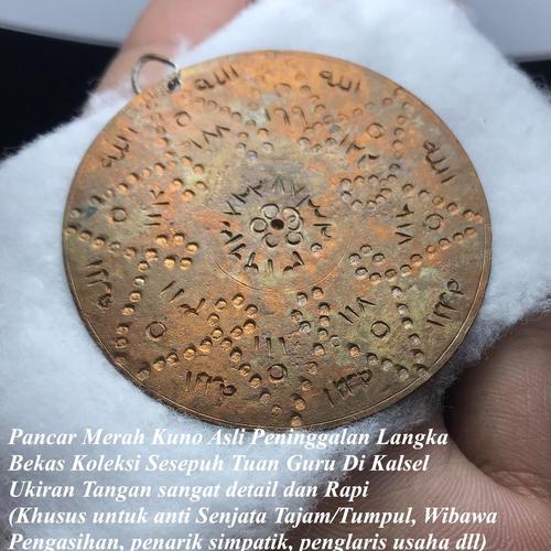 Jual Pancar Merah Penunduk SERIBU BUNGA Asli Kalimantan Barang ...