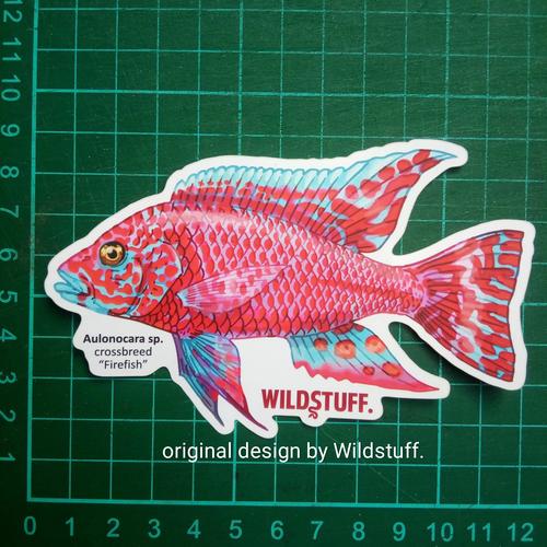 Jual Sticker Wildstuff Aulonocara Firefish African cichlid - Kota Bogor ...