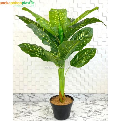 Jual Pohon Daun Sri Rejeki Latex Artificial Pot Dasar Hitam Serabut ...