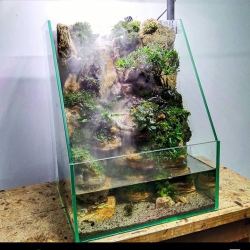 Jual mini paludarium 30cm - Kota Depok - Mjb Aquatic plants | Tokopedia