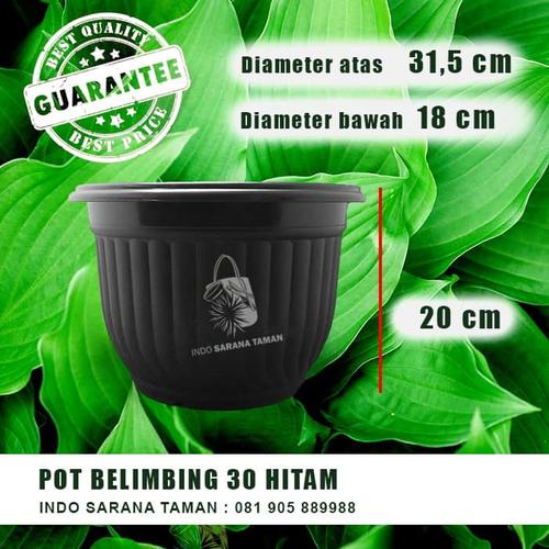 Jual Pot BELIMBING 30 HITAM Pot MATAHARI 30 Pot Plastik Pot Bunga 30 cm ...
