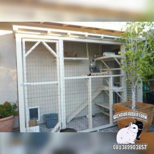 Jual KANDANG KAYU AVIARY HEWAN KUCING KELINCI BURUNG - Kab. Bogor ...