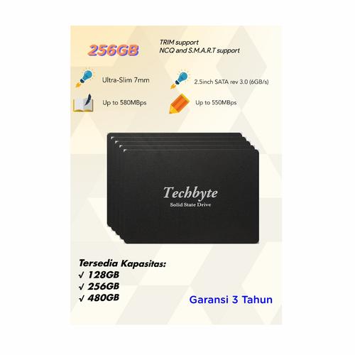 Jual Techbyte SSD 256GB NEW garansi resmi 3 tahun bukan 240GB - Kota Depok - Techbyte_Devices ...