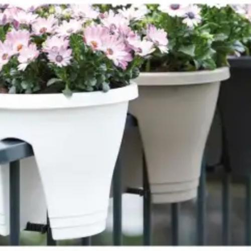 Jual Elho Corsica Flower Bridge Plant Pot Tanaman 30 Cm Abu-Abu Cokelat ...