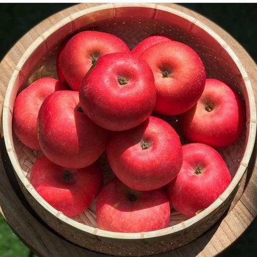 Jual apel fuji premium buah segar - 500 gram - Kota Bekasi - Juragan ...
