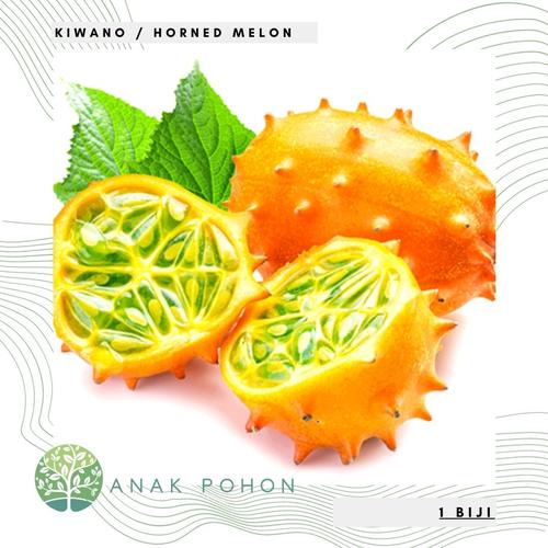 Jual Benih / Bibit / Biji - Buah Kiwano (Timun / Melon Berduri) - Kab ...