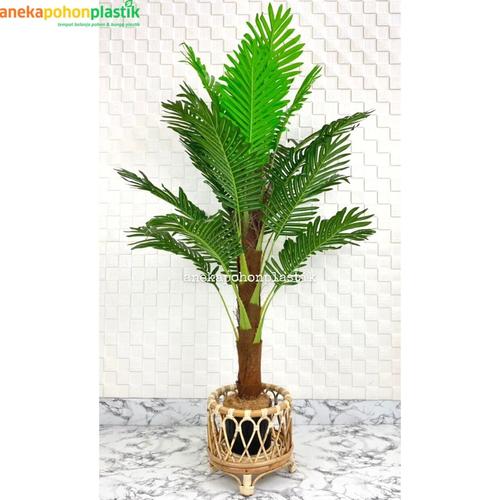 Jual Pohon Daun Palem Sikas T140 Latex Standing Cover Pot Dasar Rotan ...