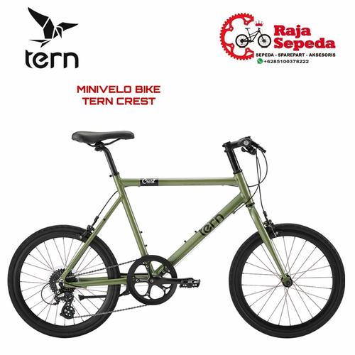 Jual SEPEDA CLASSIC MINIVELO TERN CREST 2021 - Sage, 46 - Kota Makassar - Raja Sepeda makassar ...