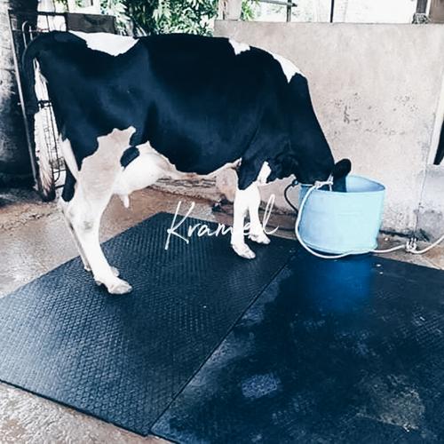 Jual Karpet Karet Alas Kandang Ternak Sapi Rubber Cow Mat 14 mm - Kab ...