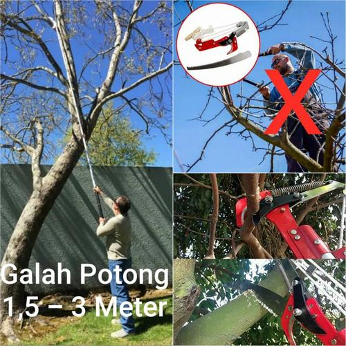 Jual Tree Pruner Galah 3 Meter Pemotong Gergaji Dahan Ranting Tarik 3meter - Kota Depok - TREE ...